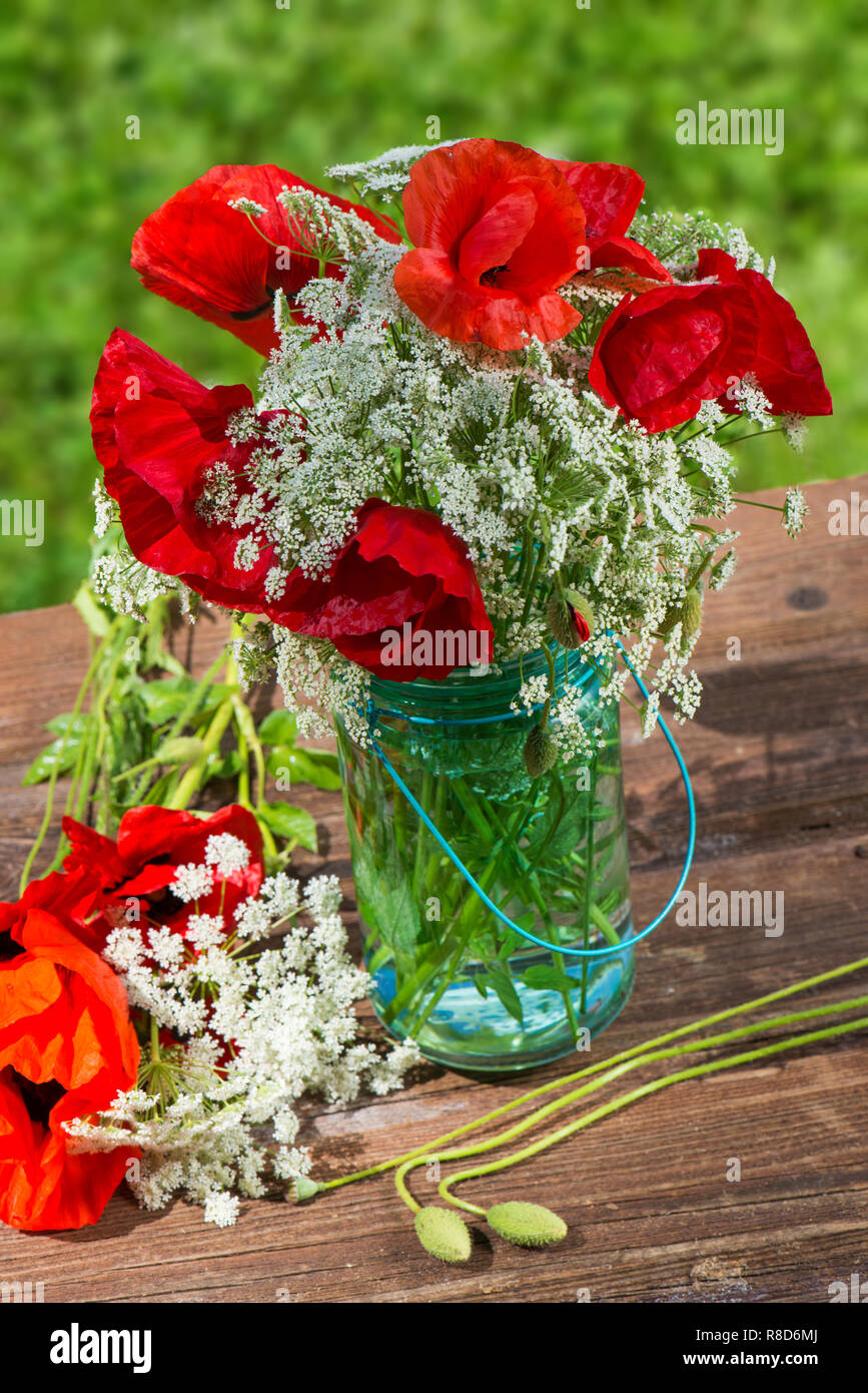 Poppy garden pot hi-res stock photography and images - Alamy