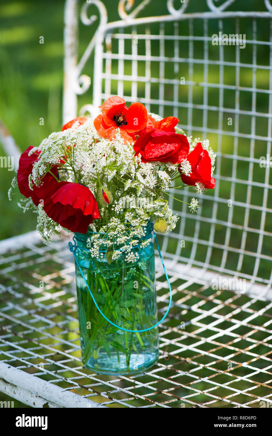 Red poppy flowers in a pot Stock Photo - Alamy
