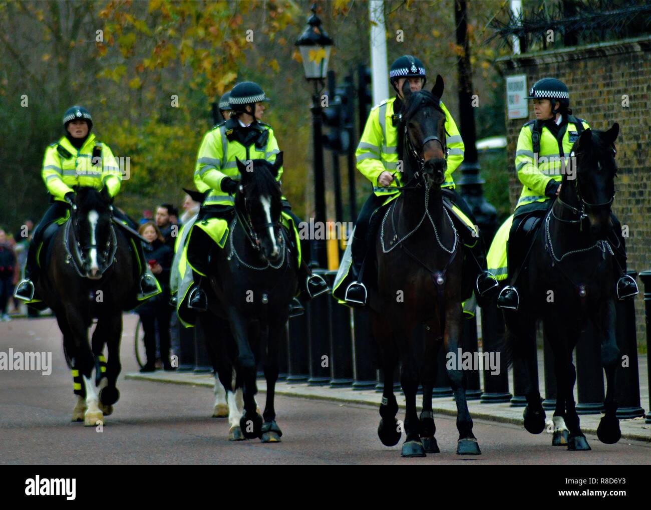 WO1 GSM Andrew `Vern` Stokes - Coldstream Guards Stock Photo - Alamy