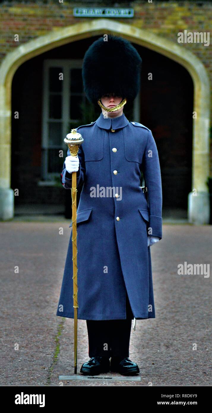 WO1 GSM Andrew `Vern` Stokes - Coldstream Guards Stock Photo - Alamy