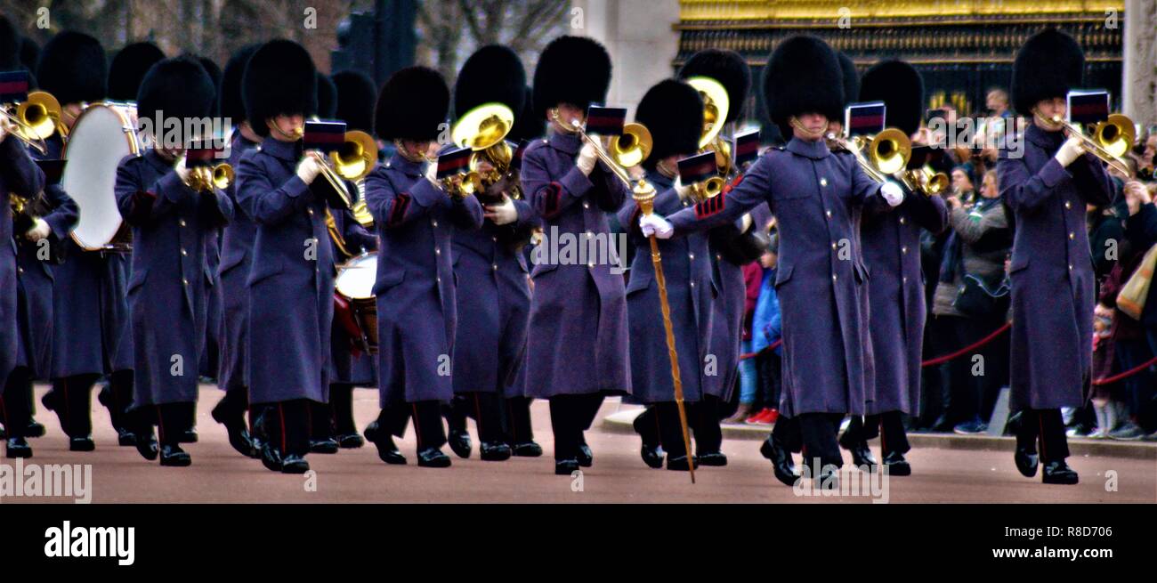 WO1 GSM Andrew `Vern` Stokes - Coldstream Guards Stock Photo - Alamy