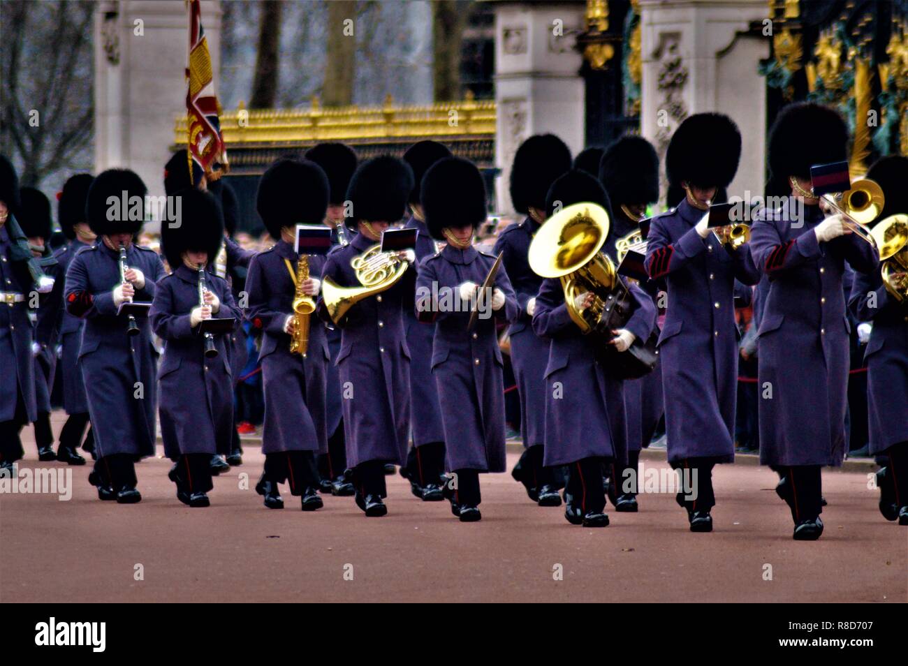 WO1 GSM Andrew `Vern` Stokes - Coldstream Guards Stock Photo - Alamy