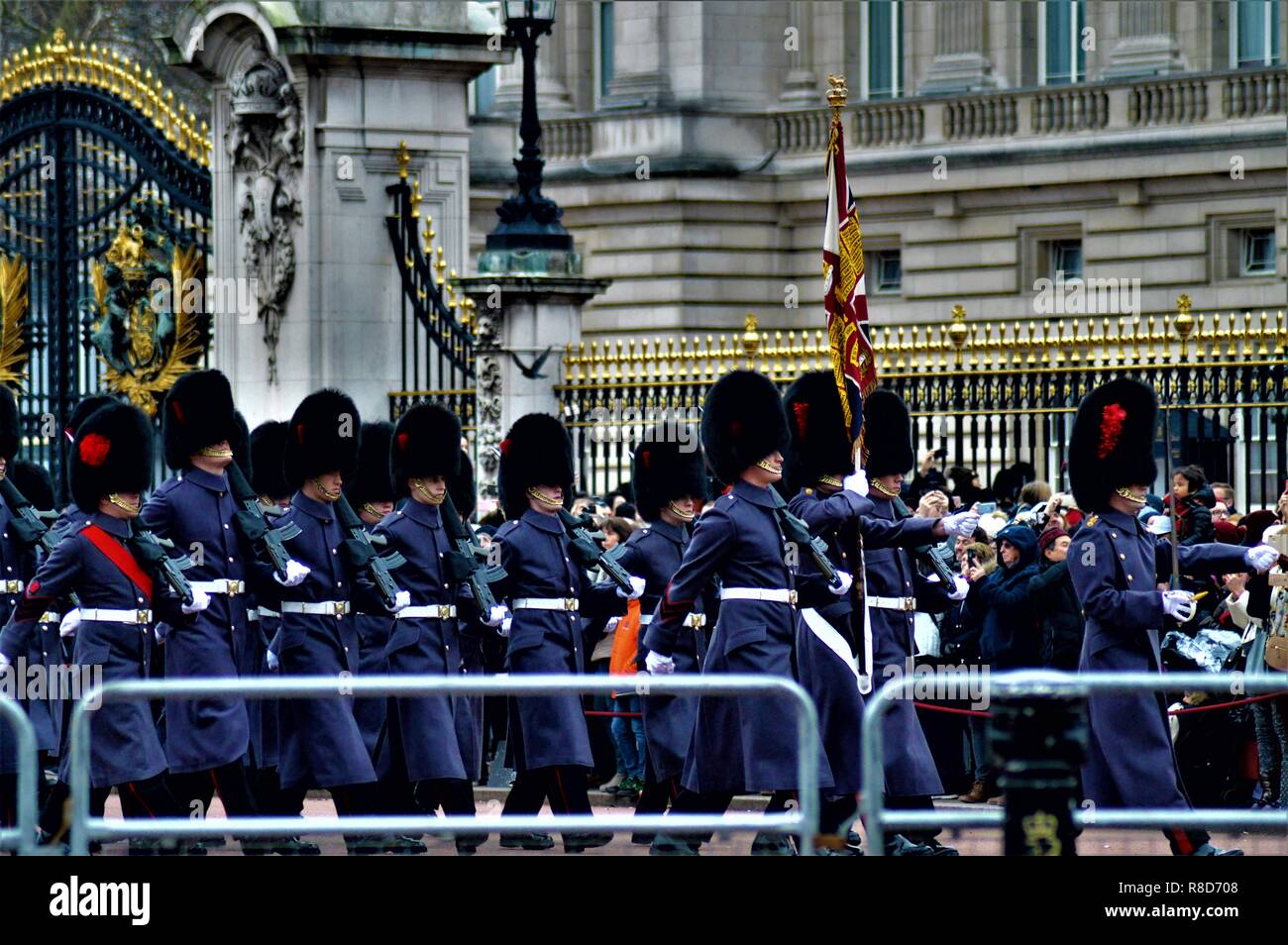 WO1 GSM Andrew `Vern` Stokes - Coldstream Guards Stock Photo - Alamy