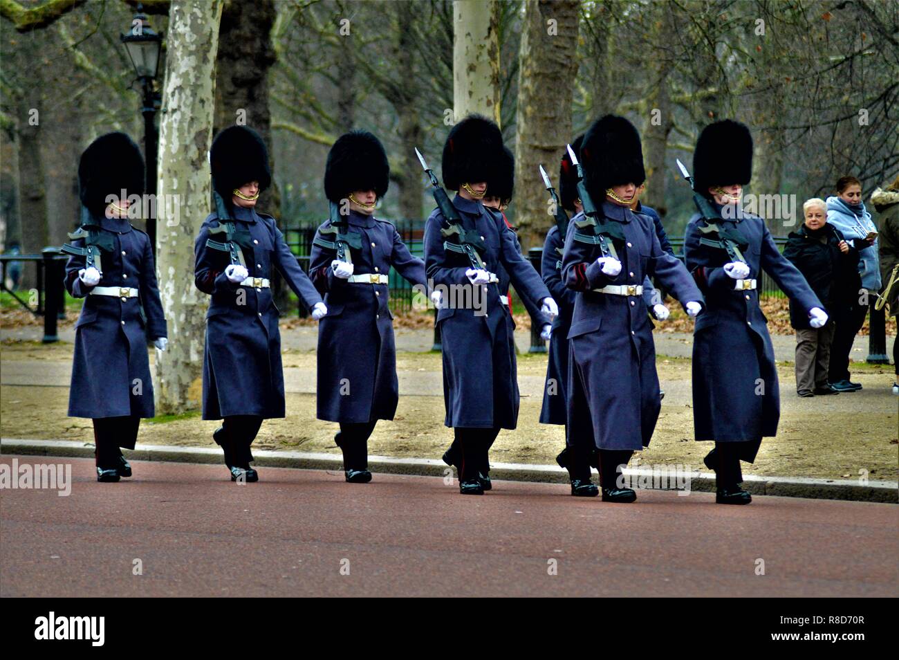 Gsm andrew vern stokes hi-res stock photography and images - Alamy