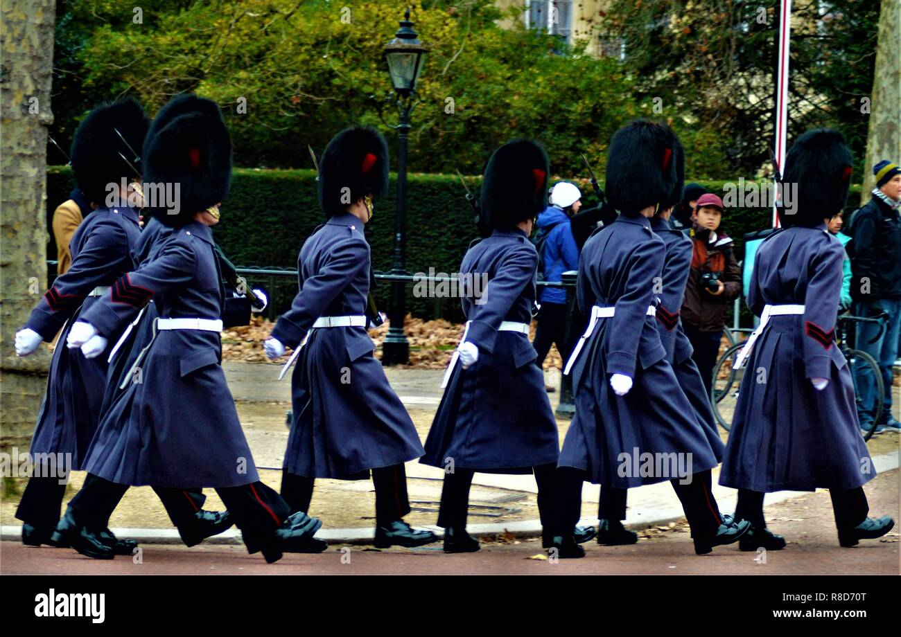 WO1 GSM Andrew `Vern` Stokes - Coldstream Guards Stock Photo - Alamy