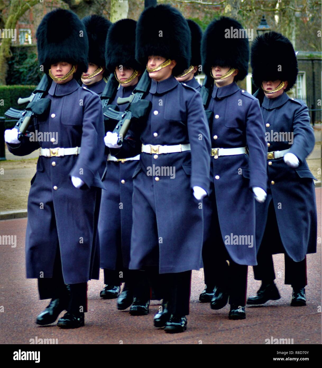 WO1 GSM Andrew `Vern` Stokes - Coldstream Guards Stock Photo - Alamy