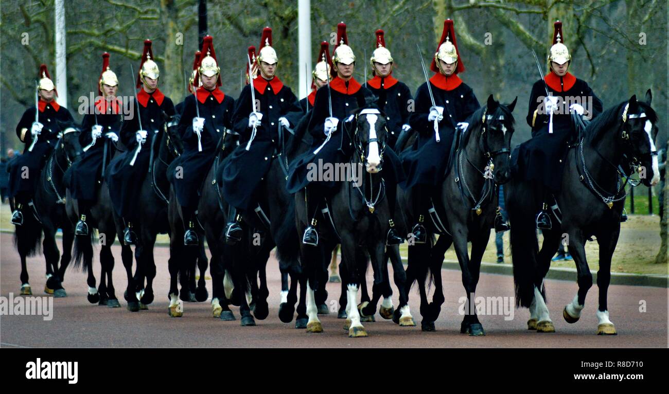 WO1 GSM Andrew `Vern` Stokes - Coldstream Guards Stock Photo - Alamy