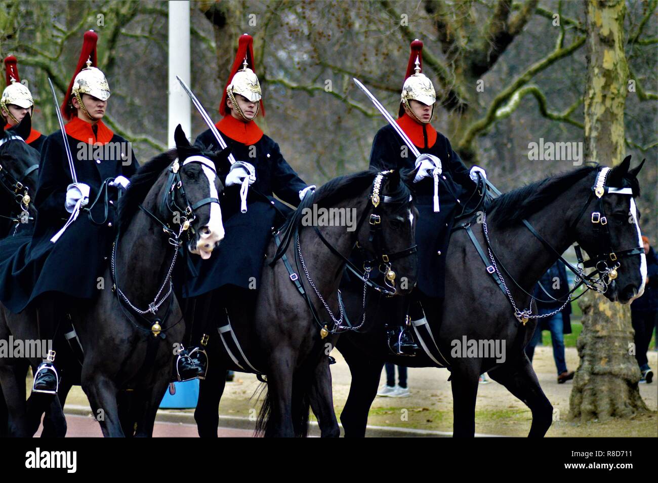 WO1 GSM Andrew `Vern` Stokes - Coldstream Guards Stock Photo - Alamy