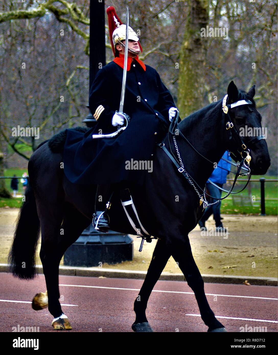 WO1 GSM Andrew `Vern` Stokes - Coldstream Guards Stock Photo - Alamy