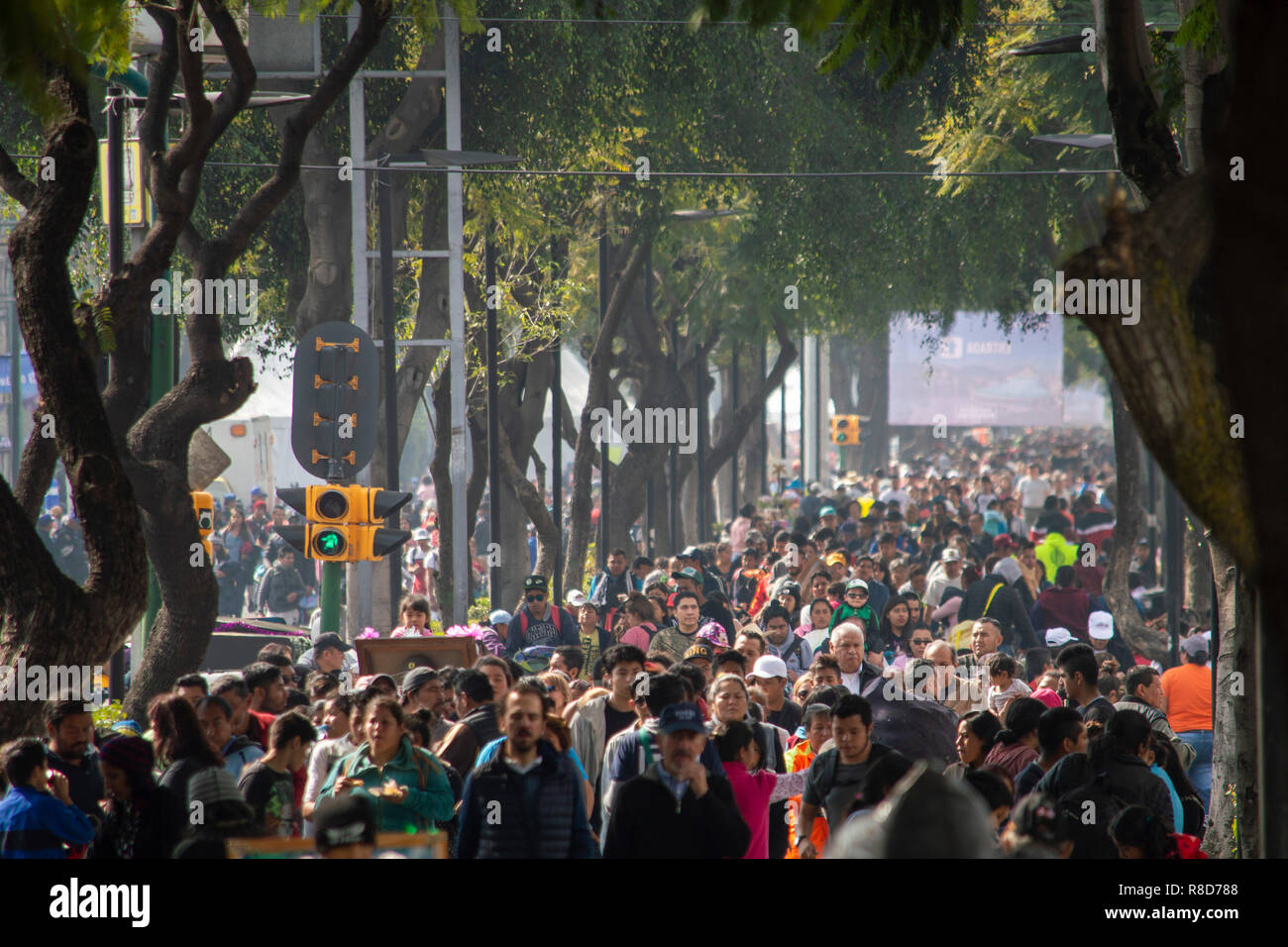 Pilgrims making their way to the Basilica of Our Lady of Guadalupe in ...