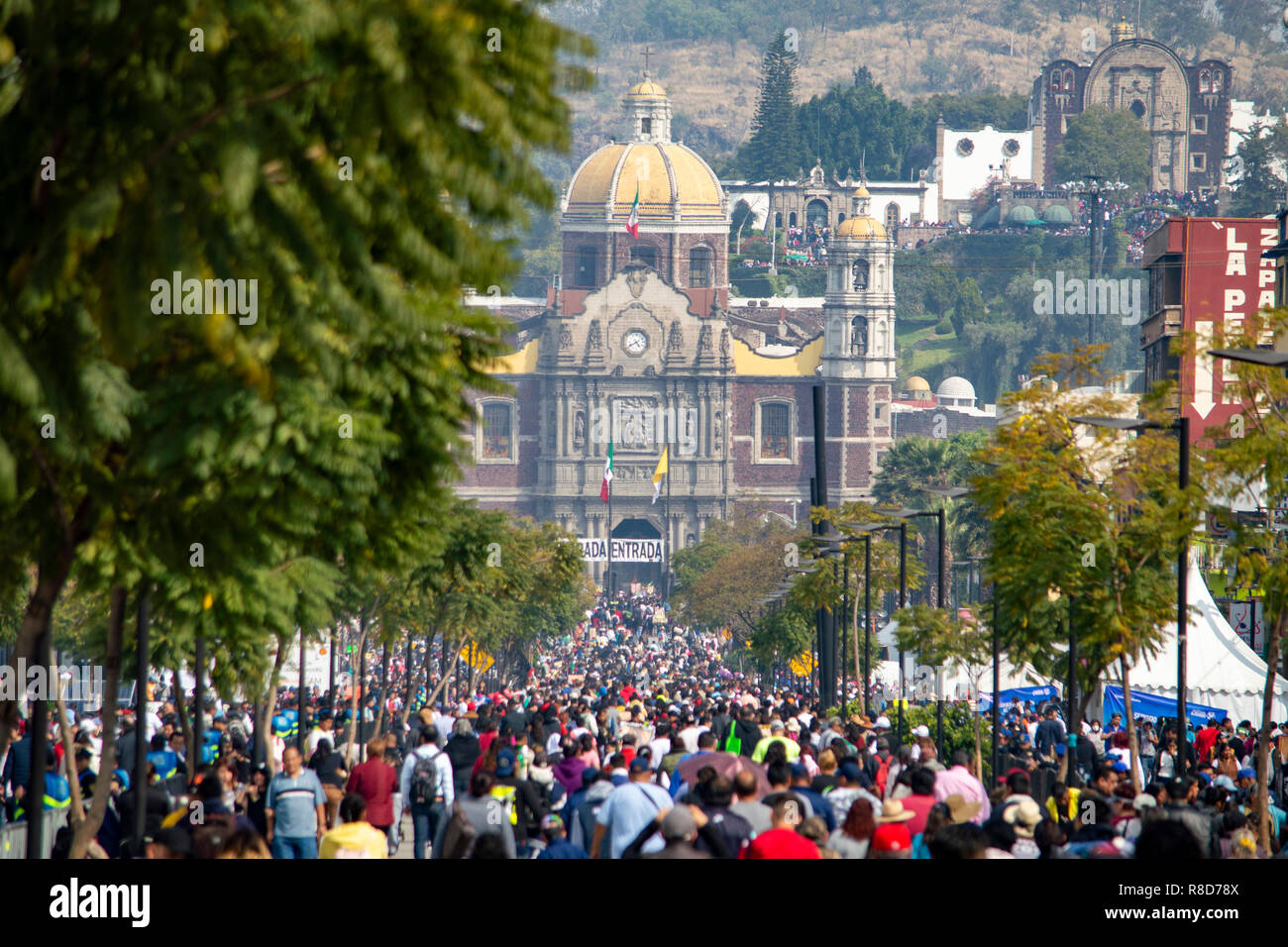 Pilgrims making their way to the Basilica of Our Lady of Guadalupe in ...