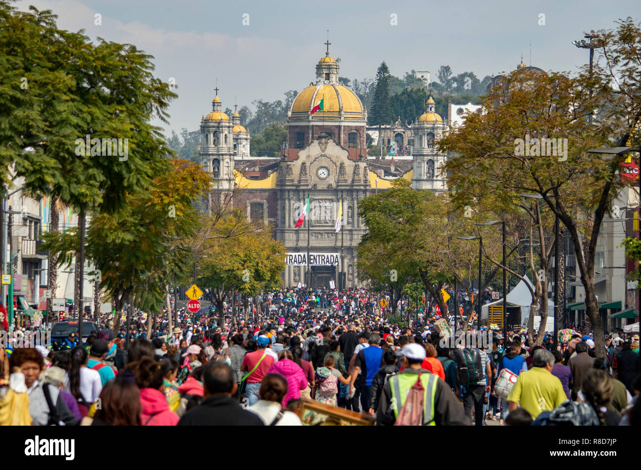 Pilgrims making their way to the Basilica of Our Lady of Guadalupe in ...