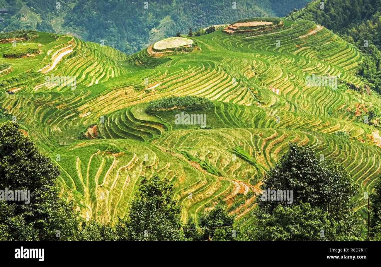 Longsheng longji rice terrace hi-res stock photography and images - Alamy