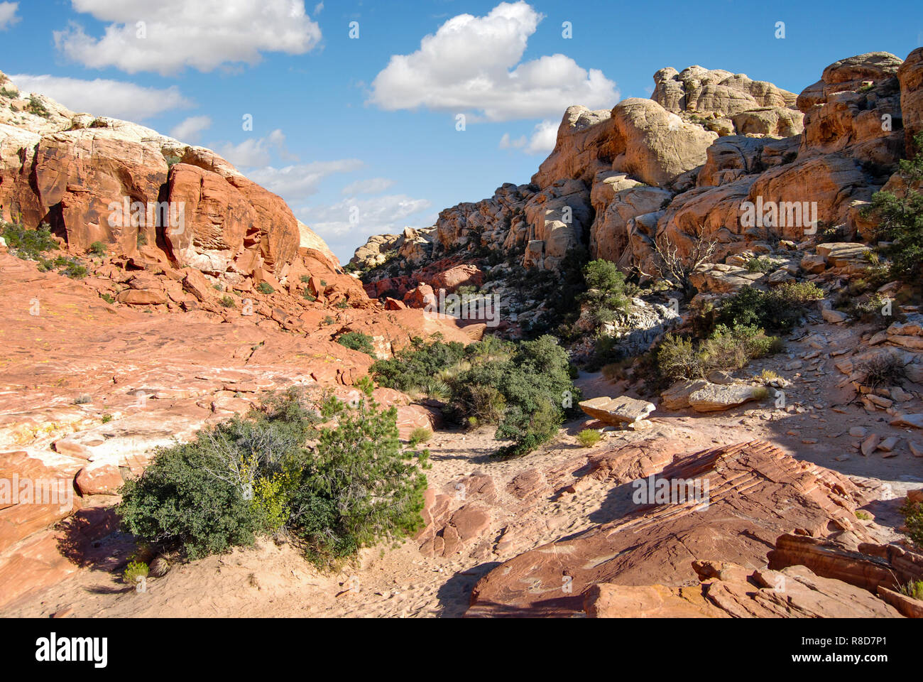 Red Rock Canyon, Nevada Stock Photo - Alamy