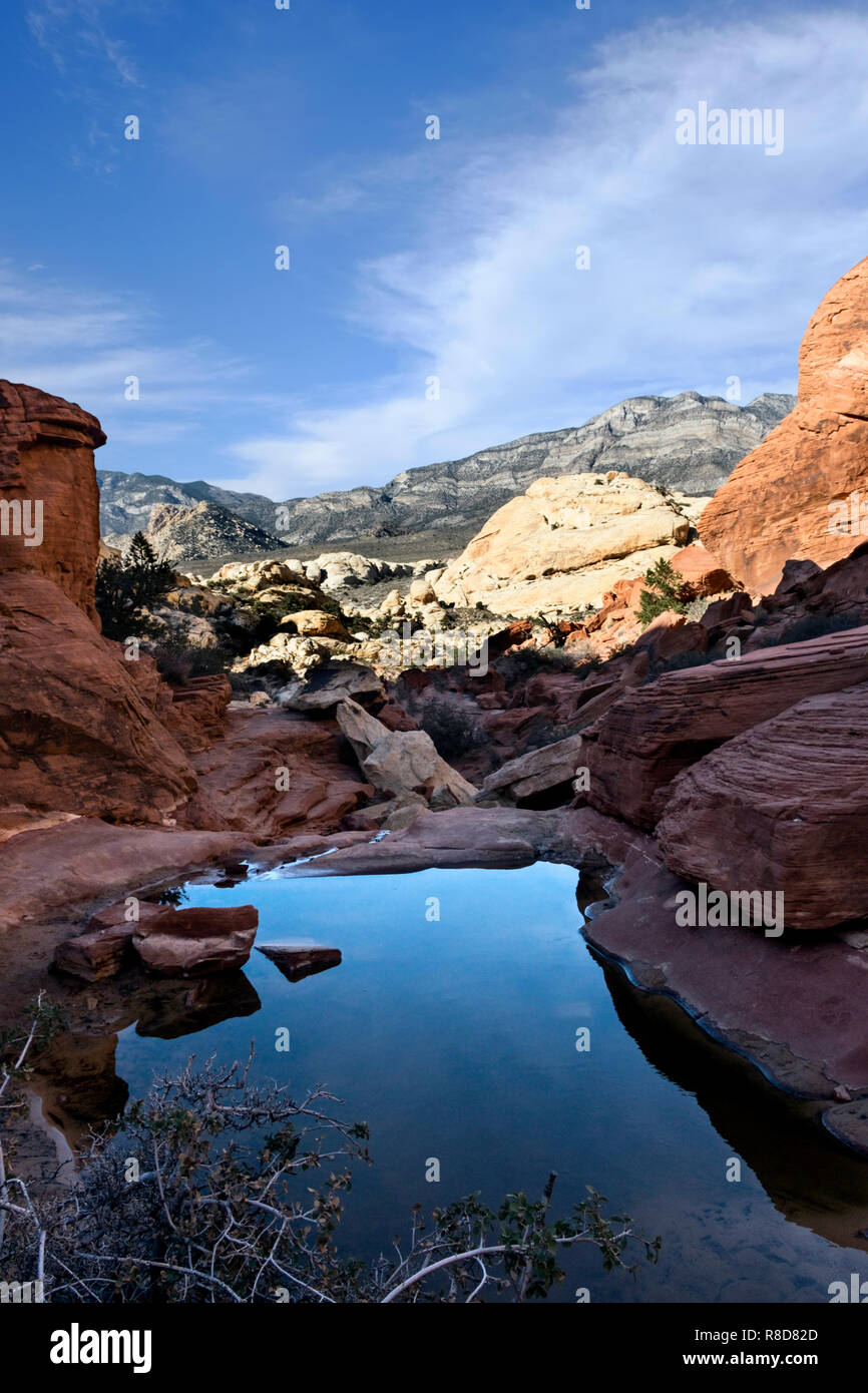 Calico tanks trail hi-res stock photography and images - Alamy