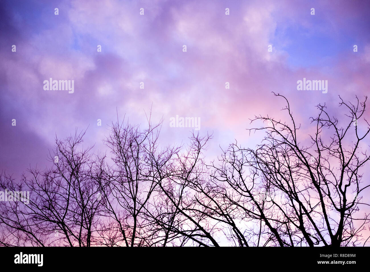 Winter sunset sky hi-res stock photography and images - Alamy