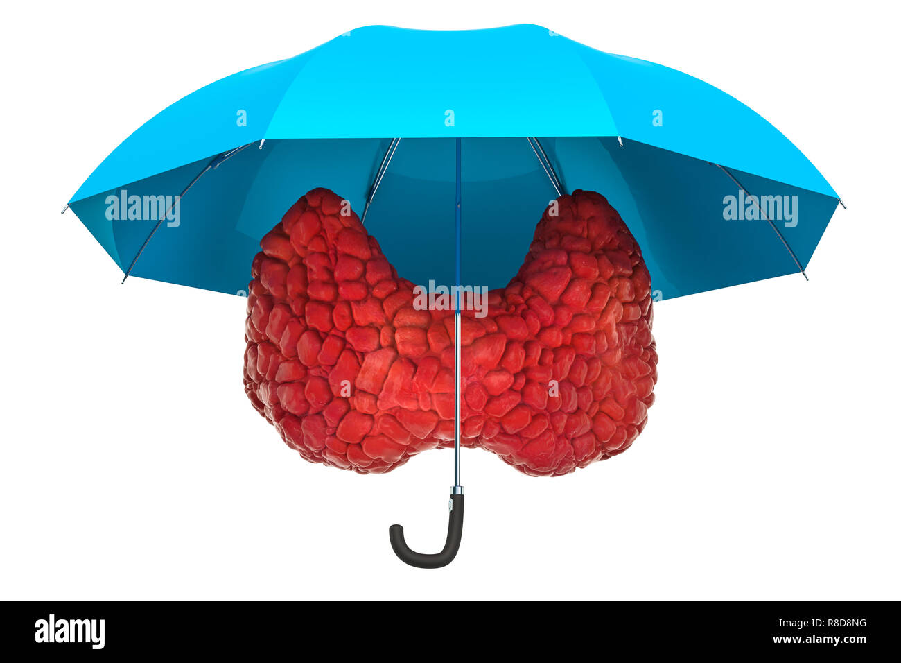 Human thyroid under umbrella, protect concept. 3D rendering isolated on ...