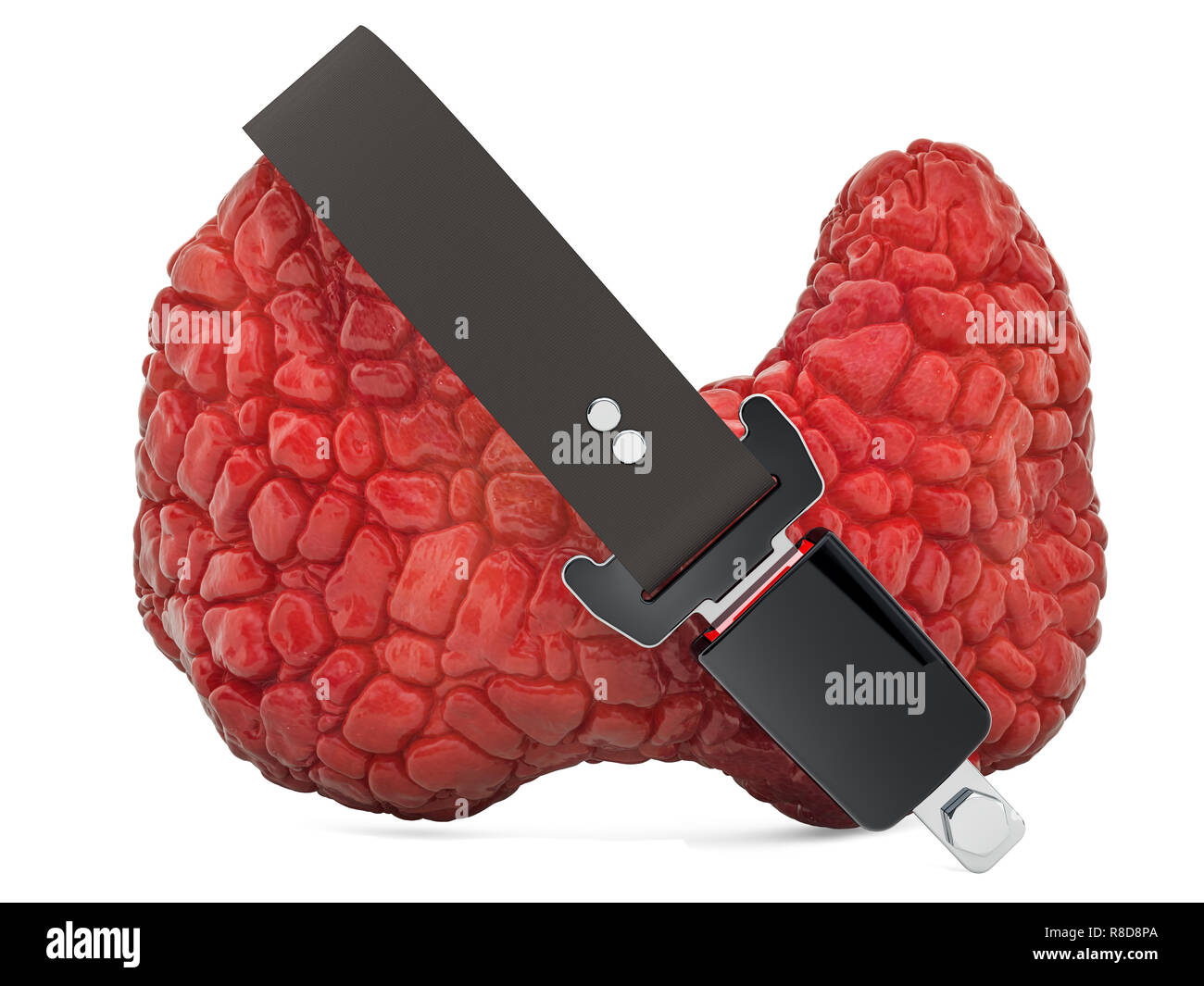 Human thyroid with safety belt, protect concept. 3D rendering isolated ...
