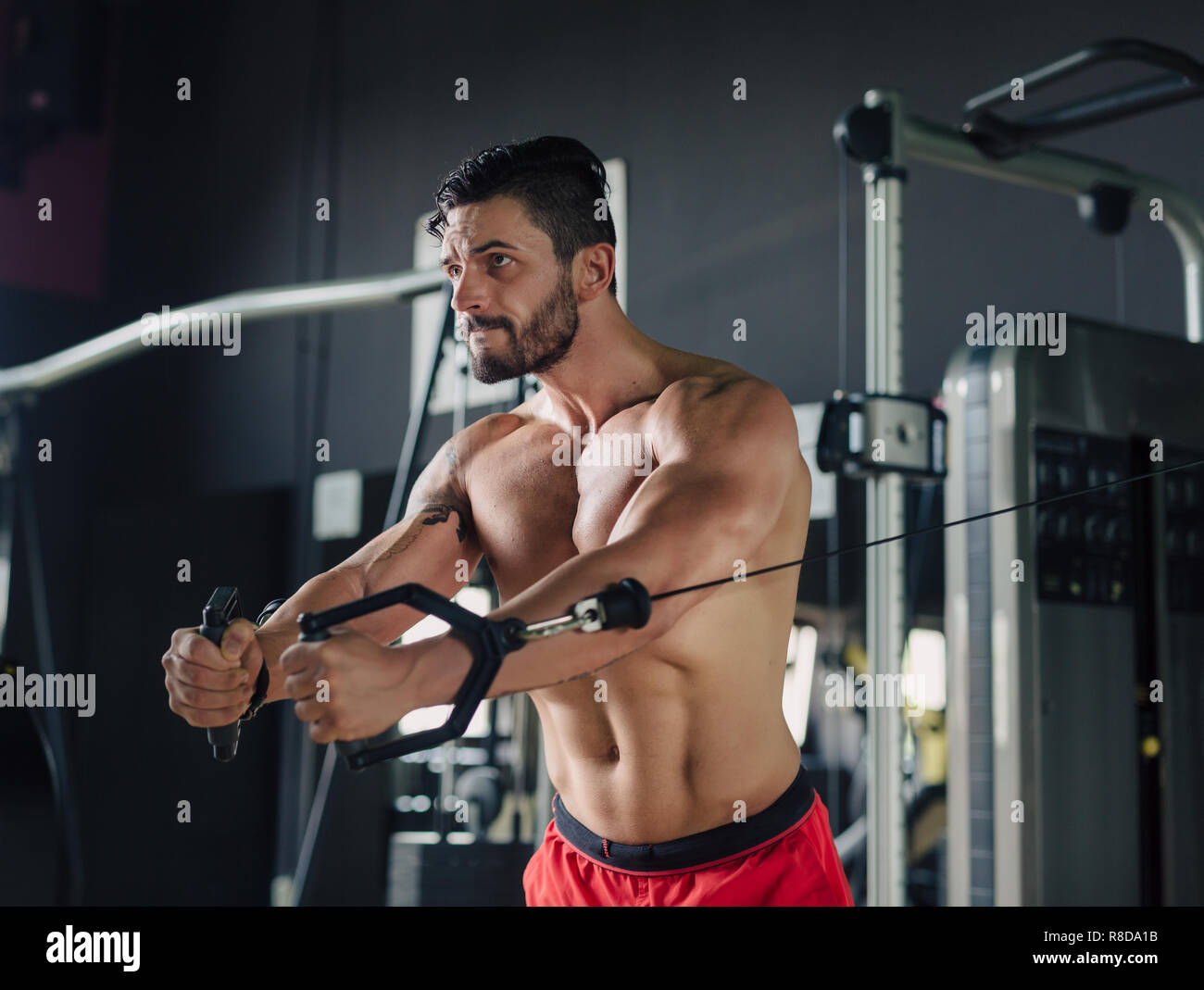 Strong man in the gym doing chest exercises Stock Photo - Alamy