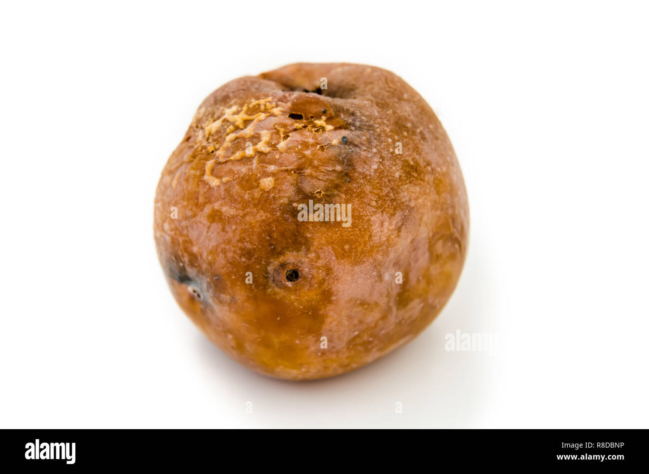 rotten apple isolated on a white background Stock Photo - Alamy