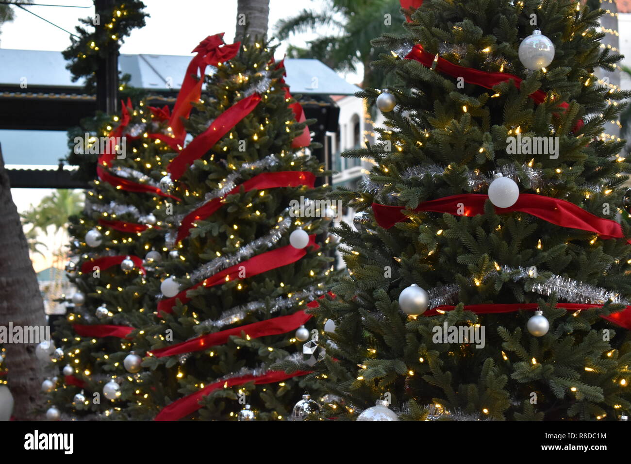 Three christmas trees hi-res stock photography and images - Alamy