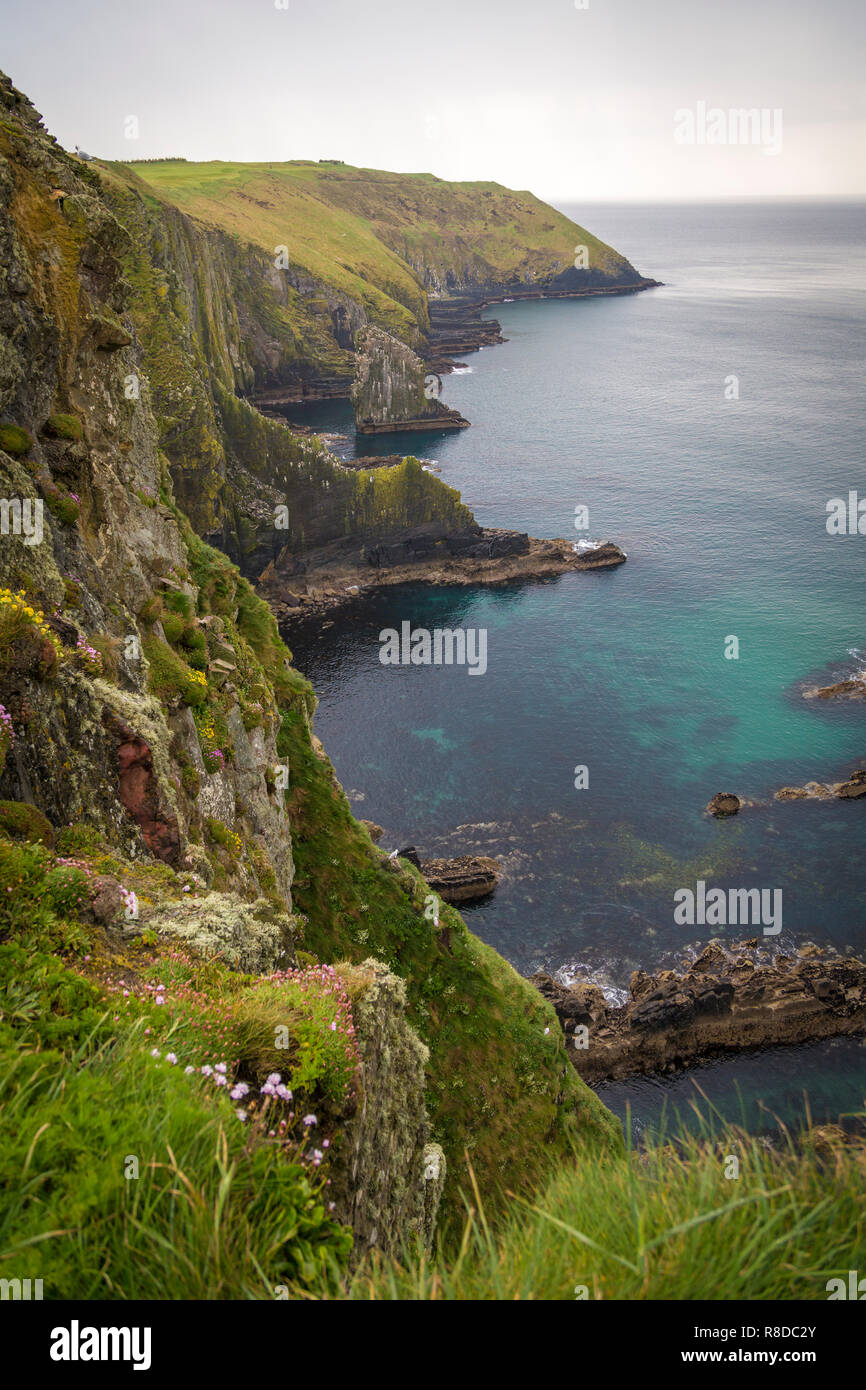 Old head of kinsale hi-res stock photography and images - Alamy