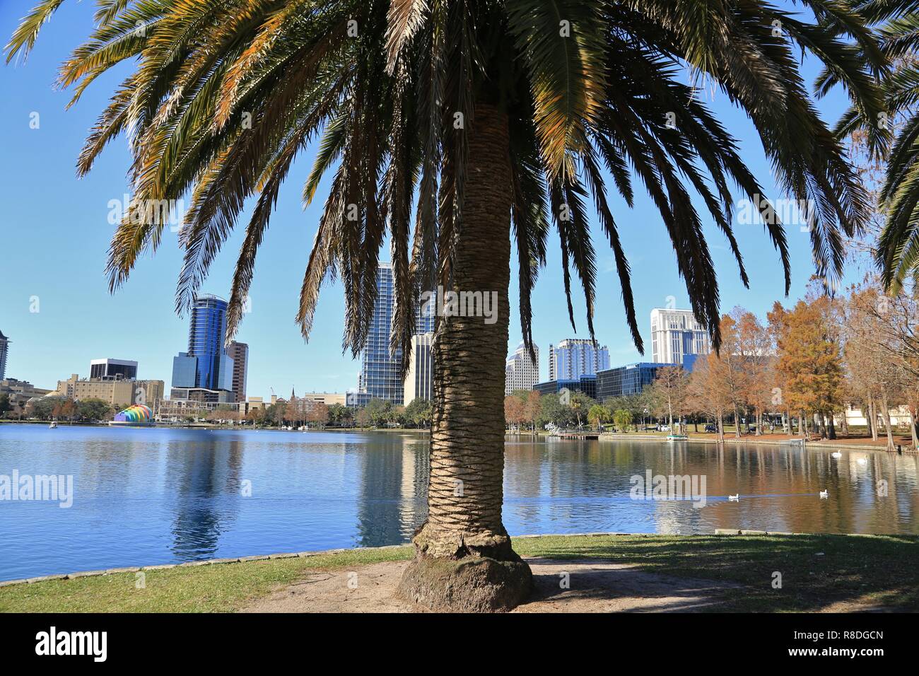 Orlando city skyline Stock Photo - Alamy