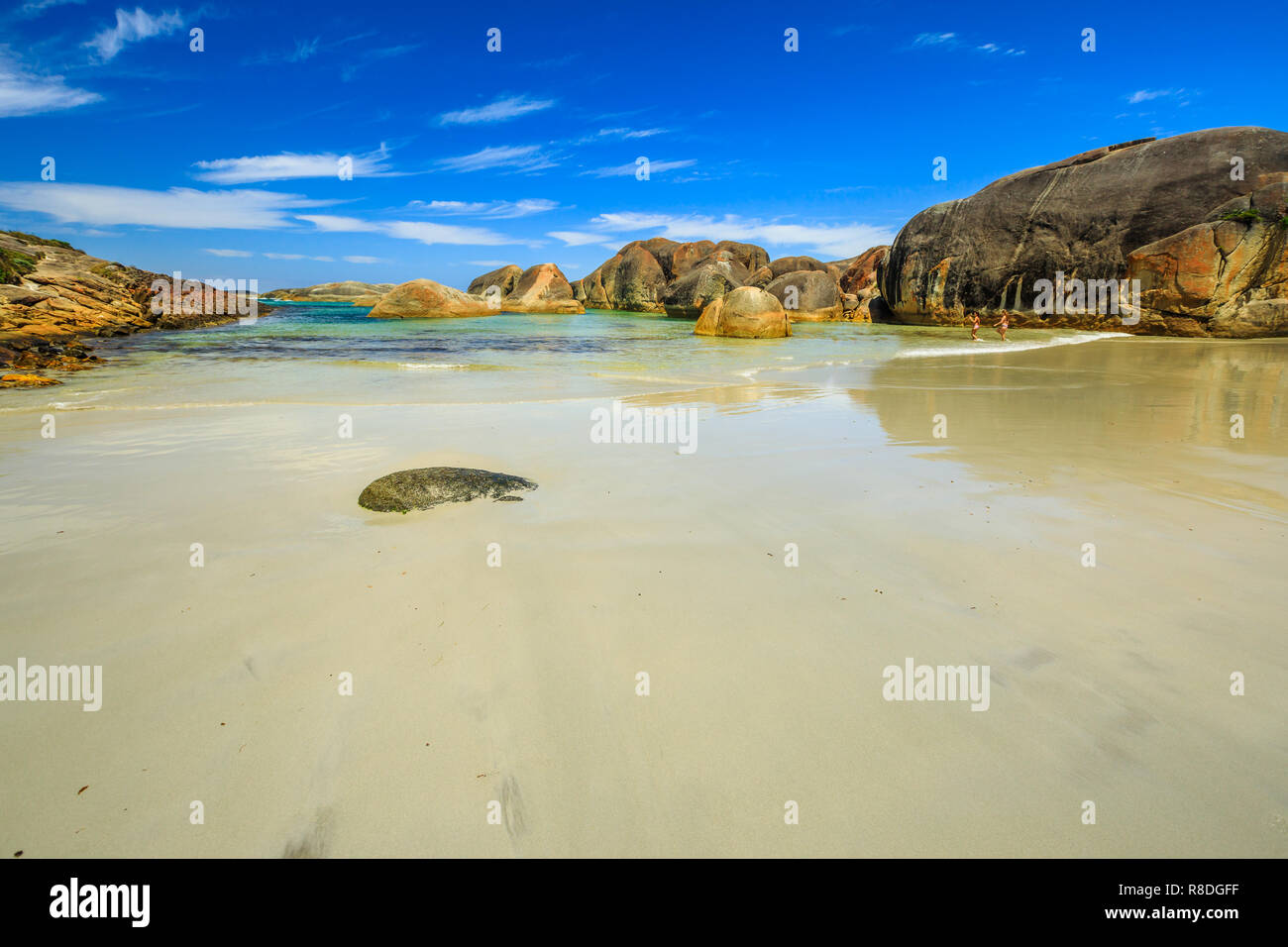 Elephant Cove Beach in William Bay NP, Western Australia in summer. The ...