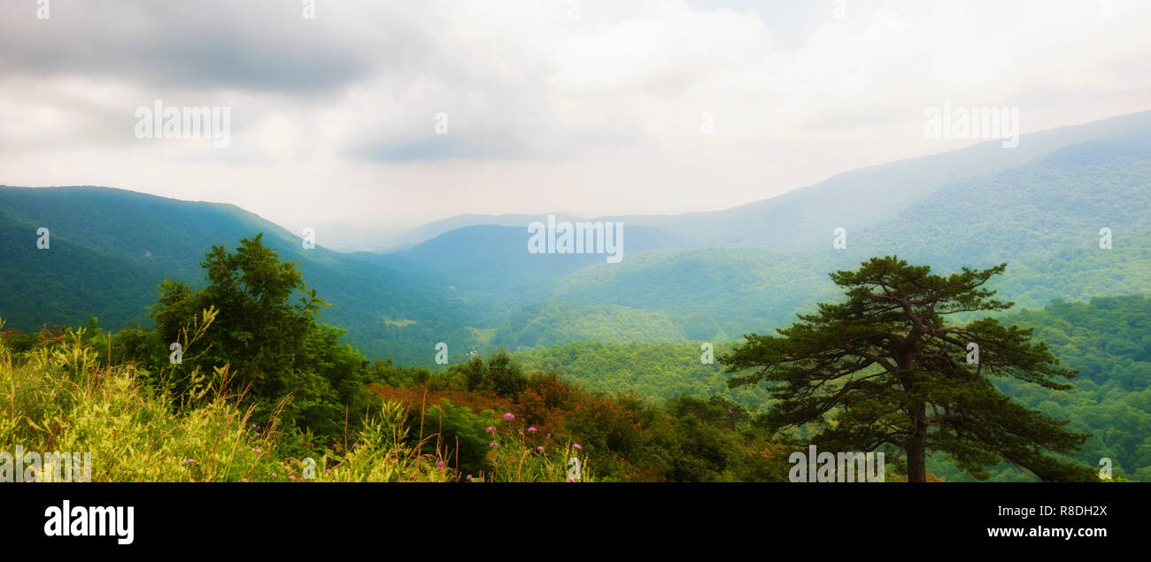 Panorama View of the landscape in Shenandoah National Park in Virginia ...