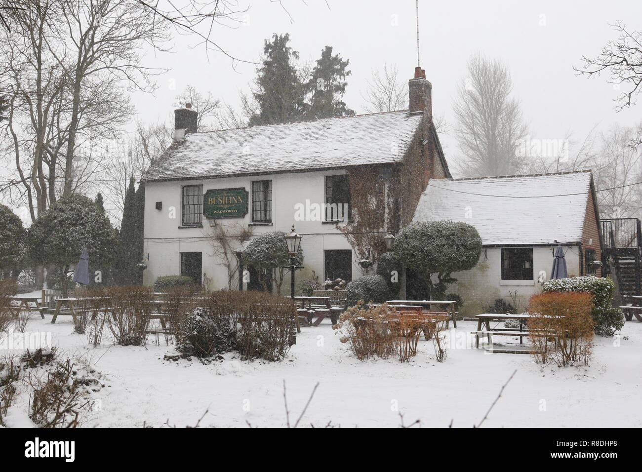 The bush pub ovington hi-res stock photography and images - Alamy