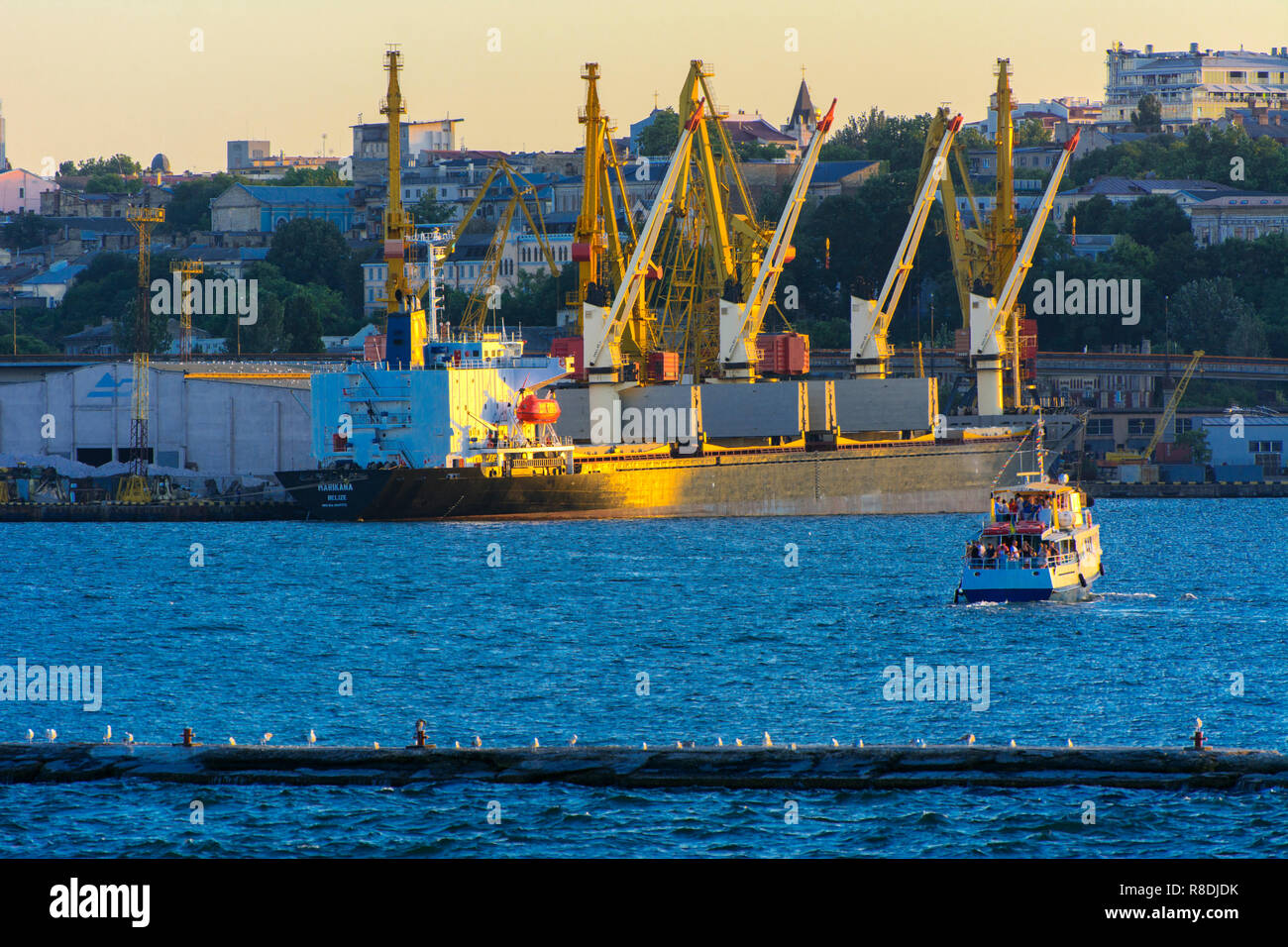 Odessa, Ukraine - August 8, 2018. Big working cranes for loading ...