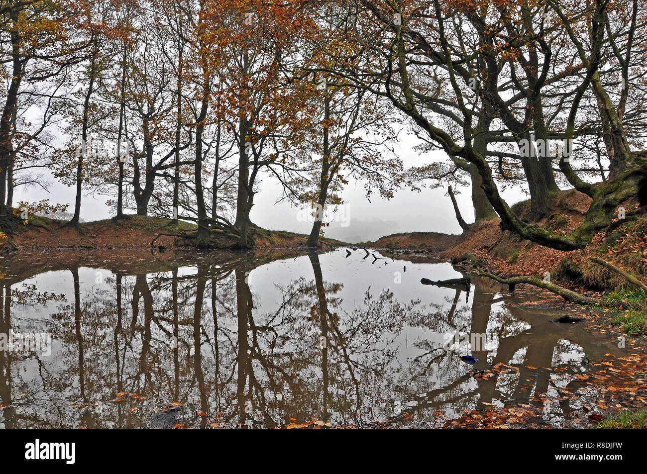 Hattersley Manchester High Resolution Stock Photography and Images - Alamy