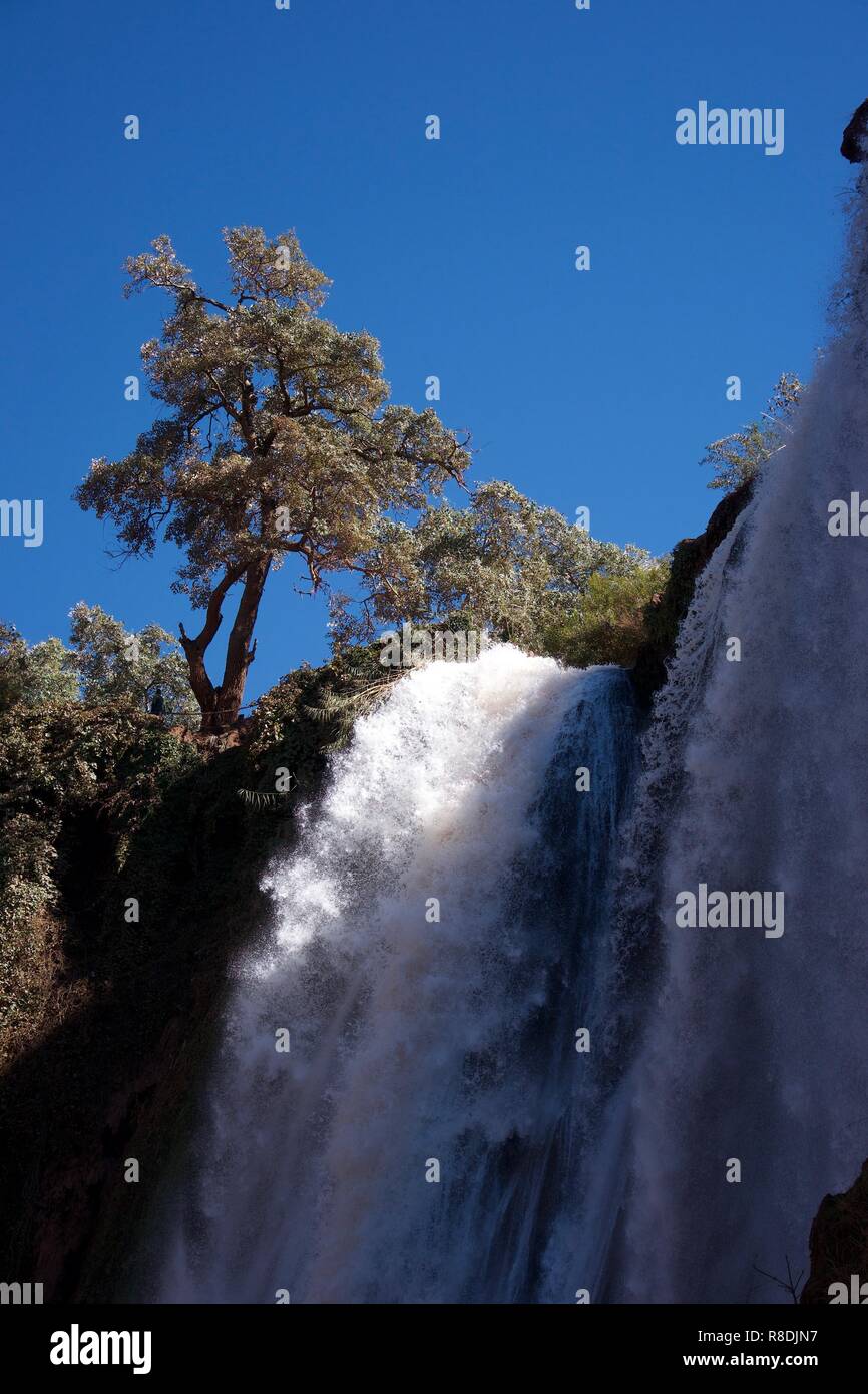Waterfall waterfalls water tree hi-res stock photography and images - Alamy
