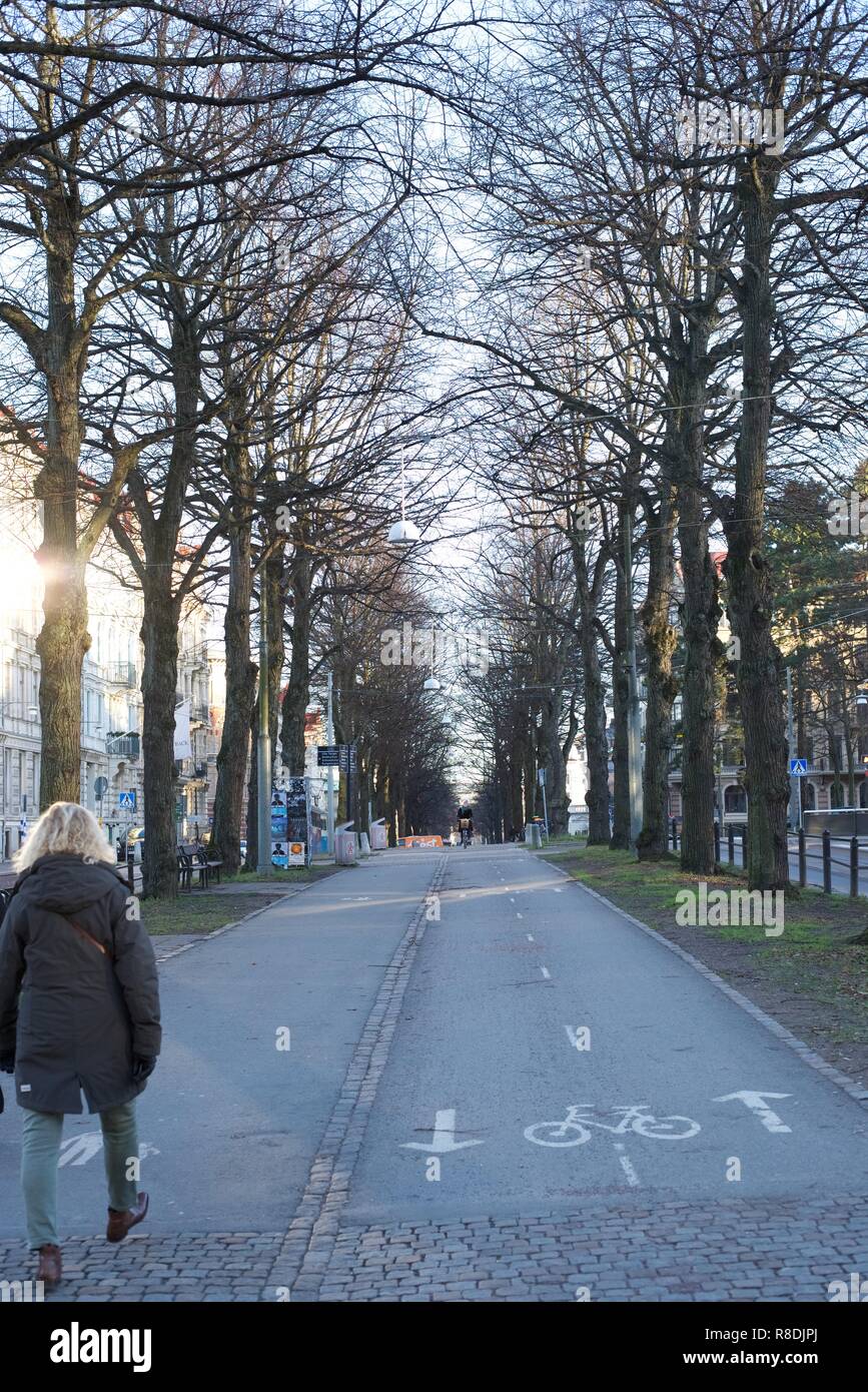 walking lane in Sweden Stock Photo - Alamy