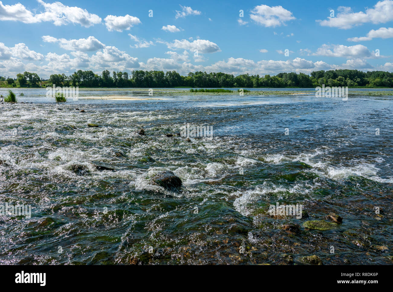 shallow river with rocky bottom, rapidly flowing streams of water Stock ...