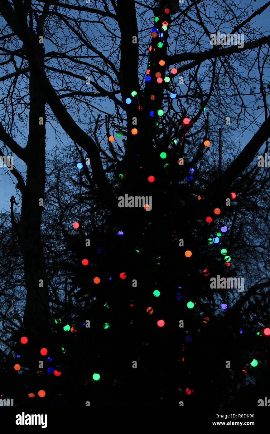 Early christmas special hi-res stock photography and images - Alamy