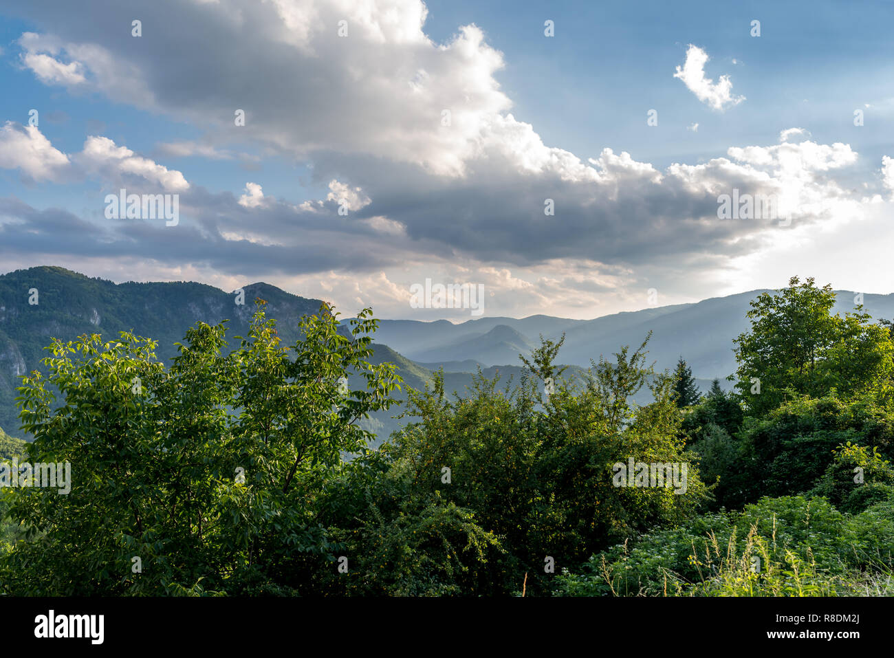 Stunning view trees mountains hi-res stock photography and images - Alamy