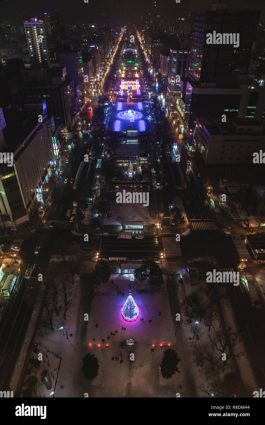 Aerial view of the Christmas lights in Odori Park during the winter ...
