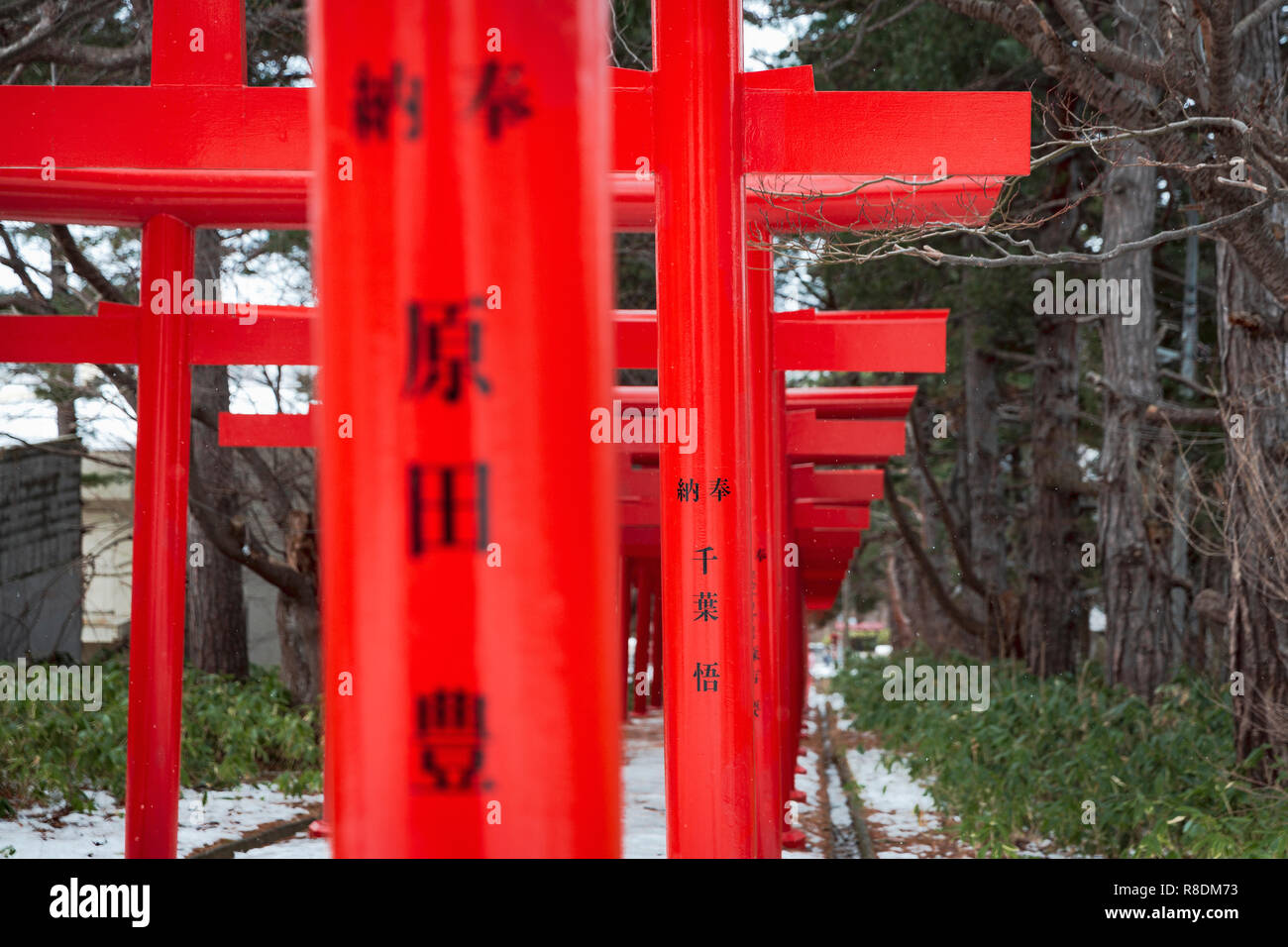 Shinto Shrine Ritual High Resolution Stock Photography and Images - Alamy