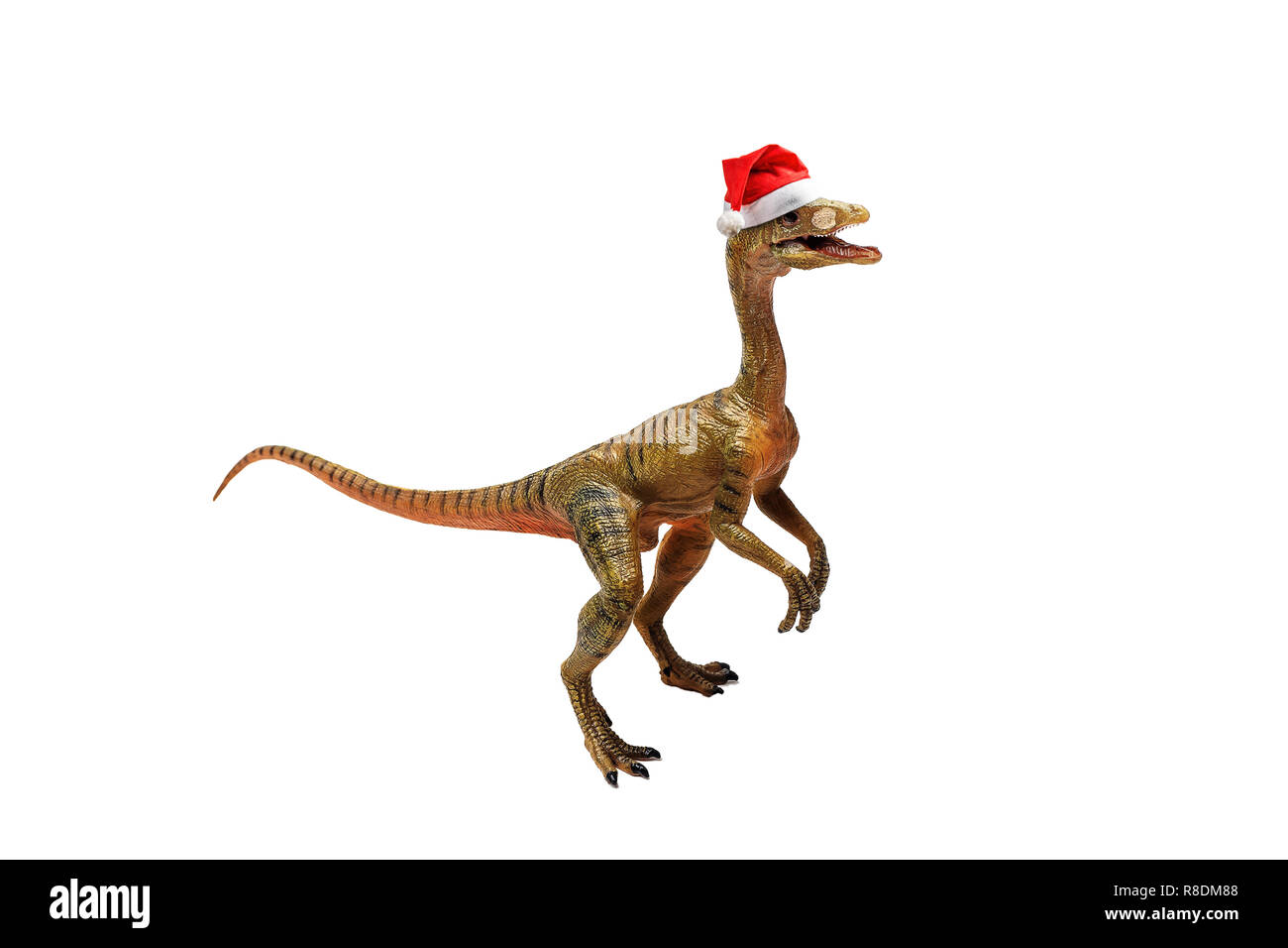 Christmas outdoor display Cut Out Stock Images & Pictures - Alamy