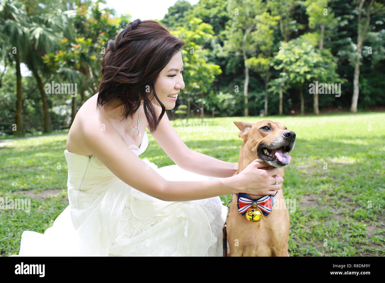 bride kiss her lovely dog Stock Photo - Alamy