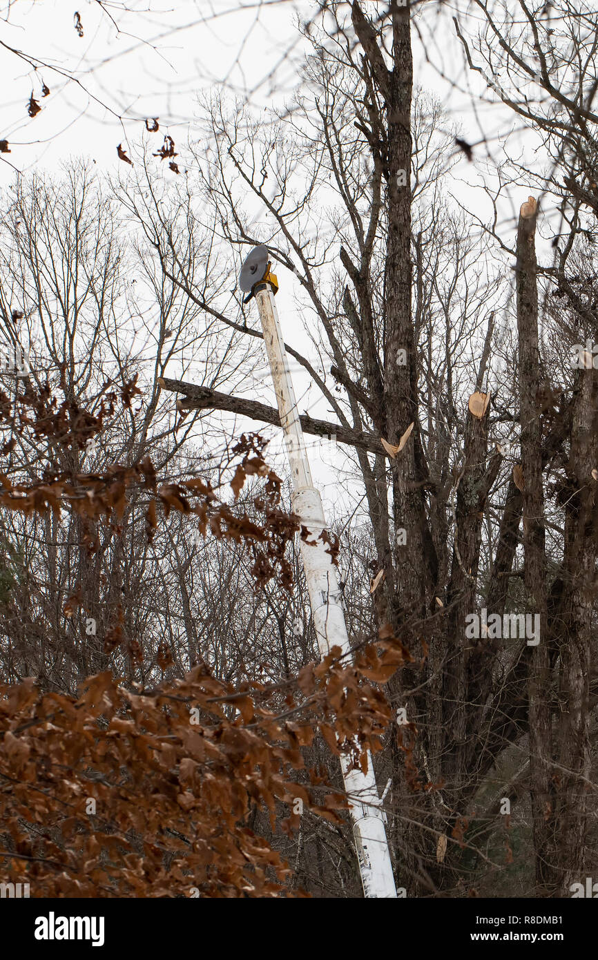 Carolina power hi-res stock photography and images - Alamy