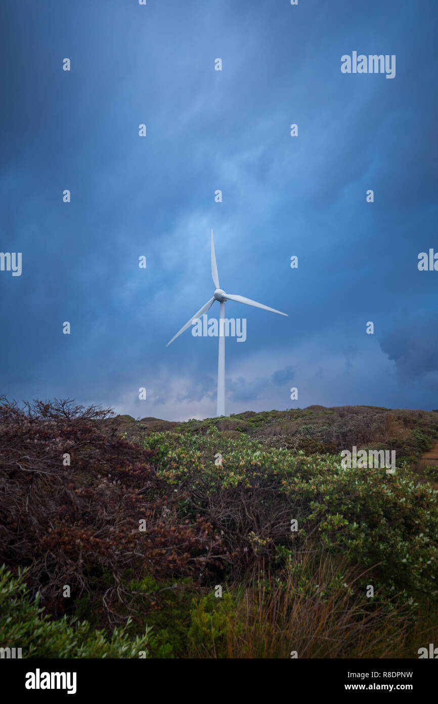 Wind Farm Albany High Resolution Stock Photography and Images - Alamy