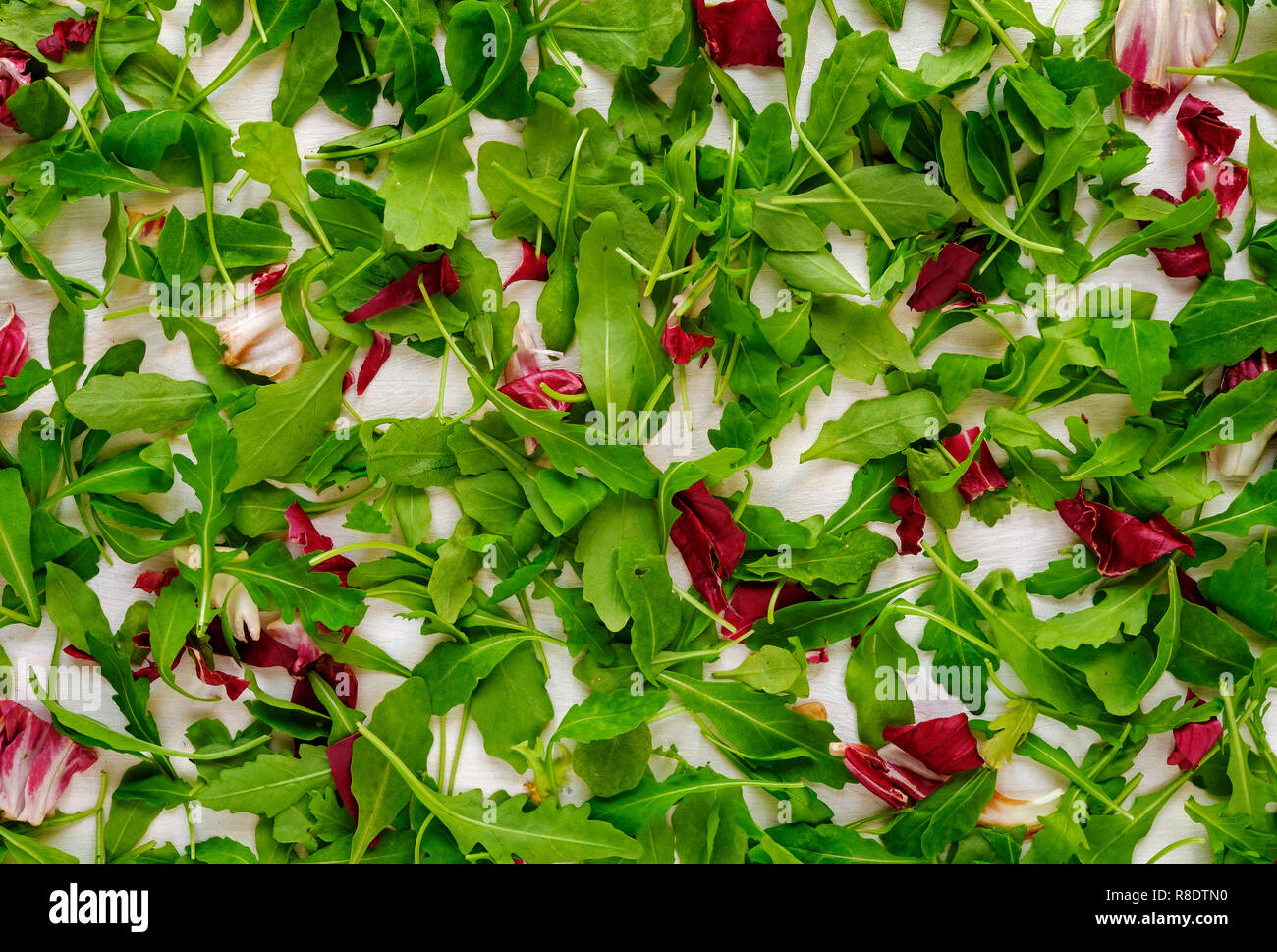 Pile of chicory leaves, edible greens with red vegetable leaves, viewed ...