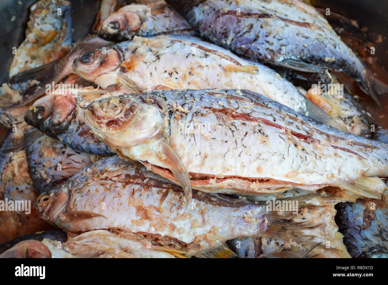 Fermented Fish Garum Fermented Fish Image & Photo (Free Trial)