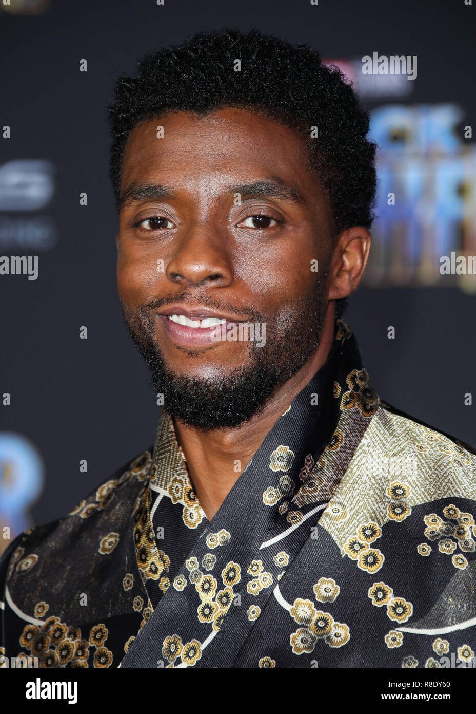 HOLLYWOOD, LOS ANGELES, CA, USA - JANUARY 29: Chadwick Boseman at the ...