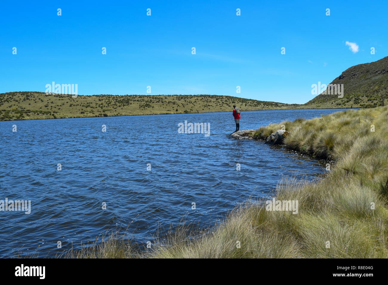 Fishing at Lake Ellis, Mount Kenya, Kenya Stock Photo - Alamy