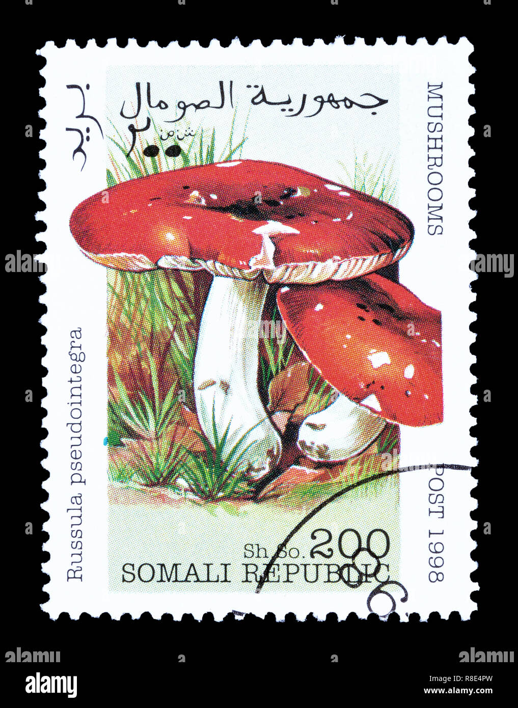 Cancelled postage stamp printed by Somali Republic, that shows Russula ...