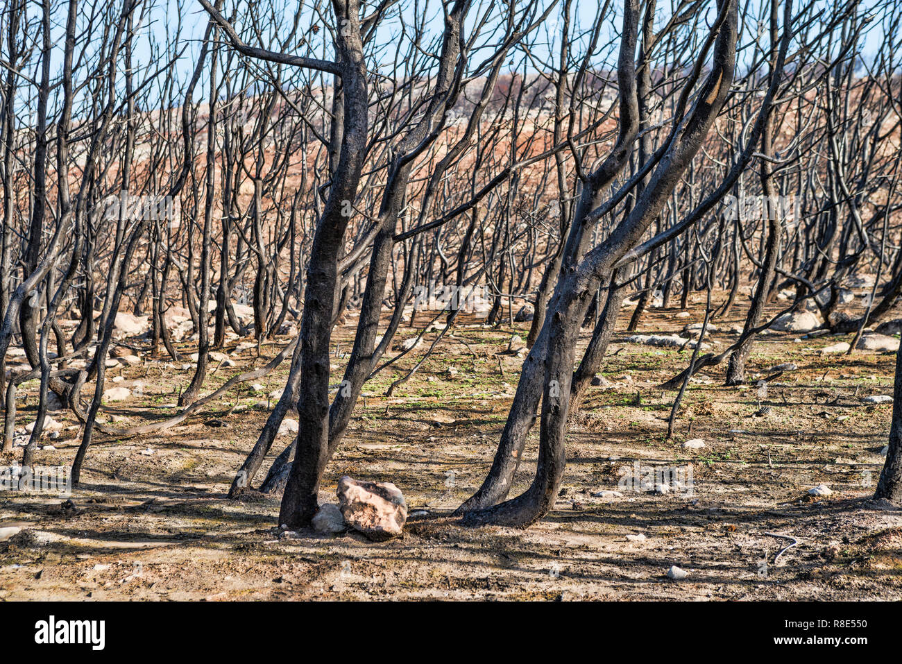Portugal forest fires hi-res stock photography and images - Alamy