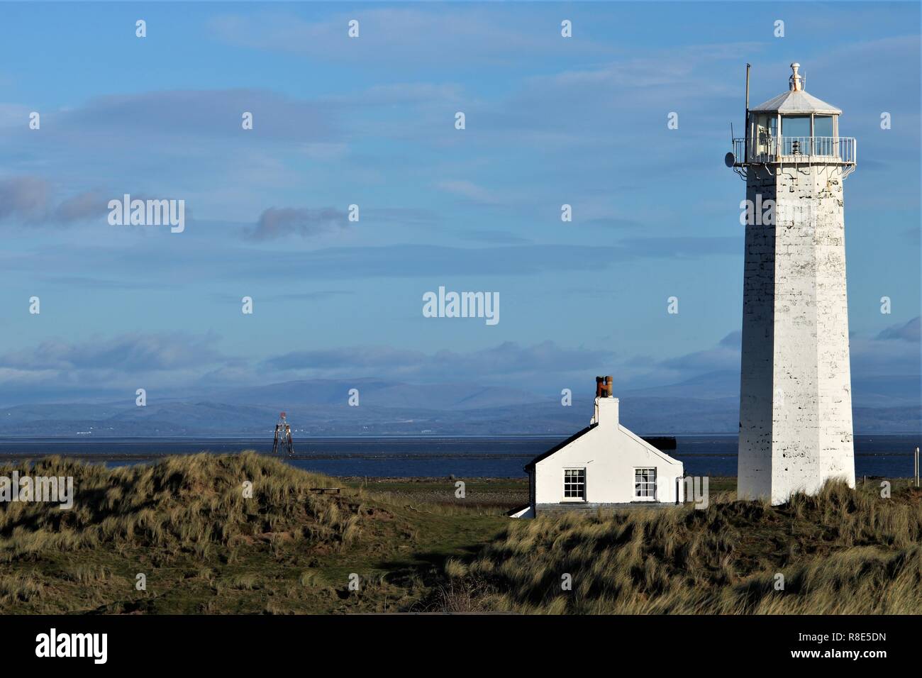 Walney island wildlife hi-res stock photography and images - Alamy